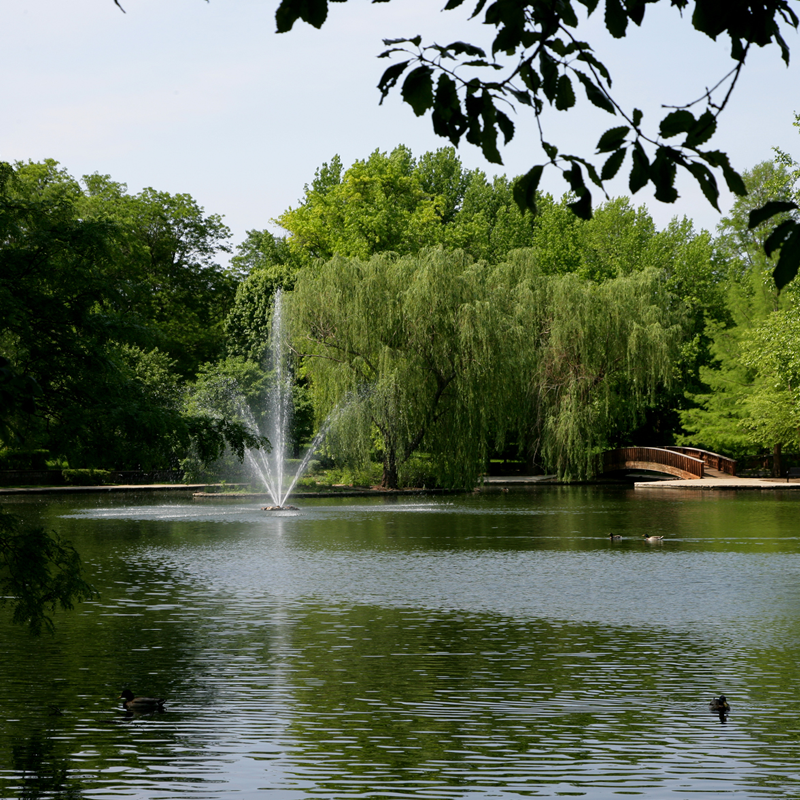 City Parks With Ponds
